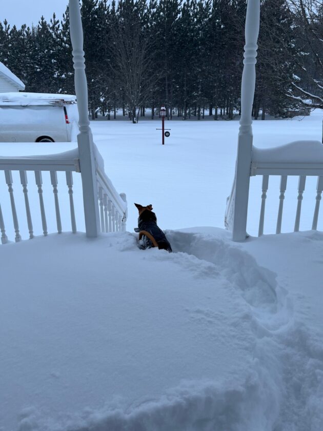 No plow? No problem! | News, Sports, Jobs - The Mining Journal